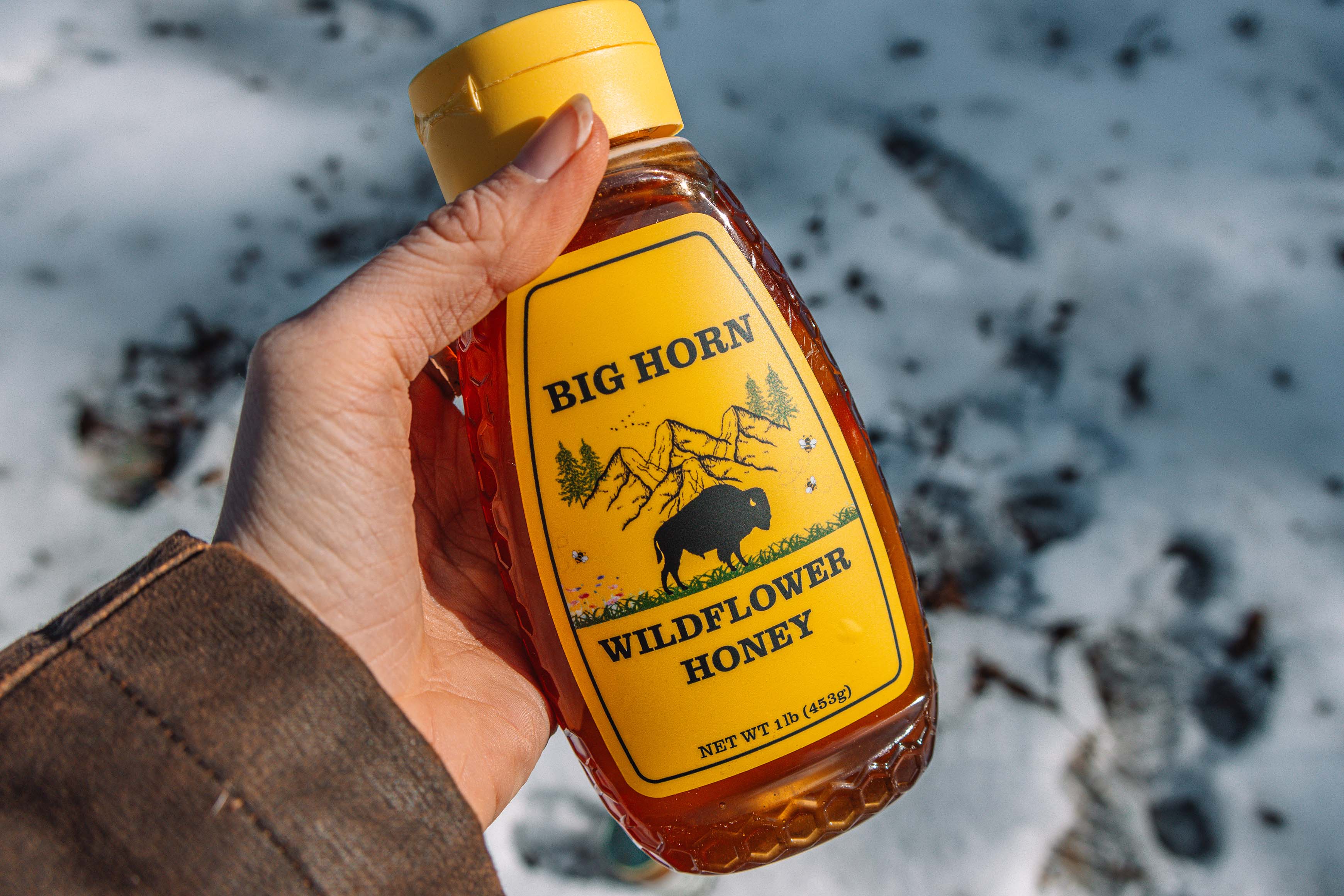 THE NORTH AMERICAN BISON (AMERICAN BISON) - Big Horn Bison Ranch