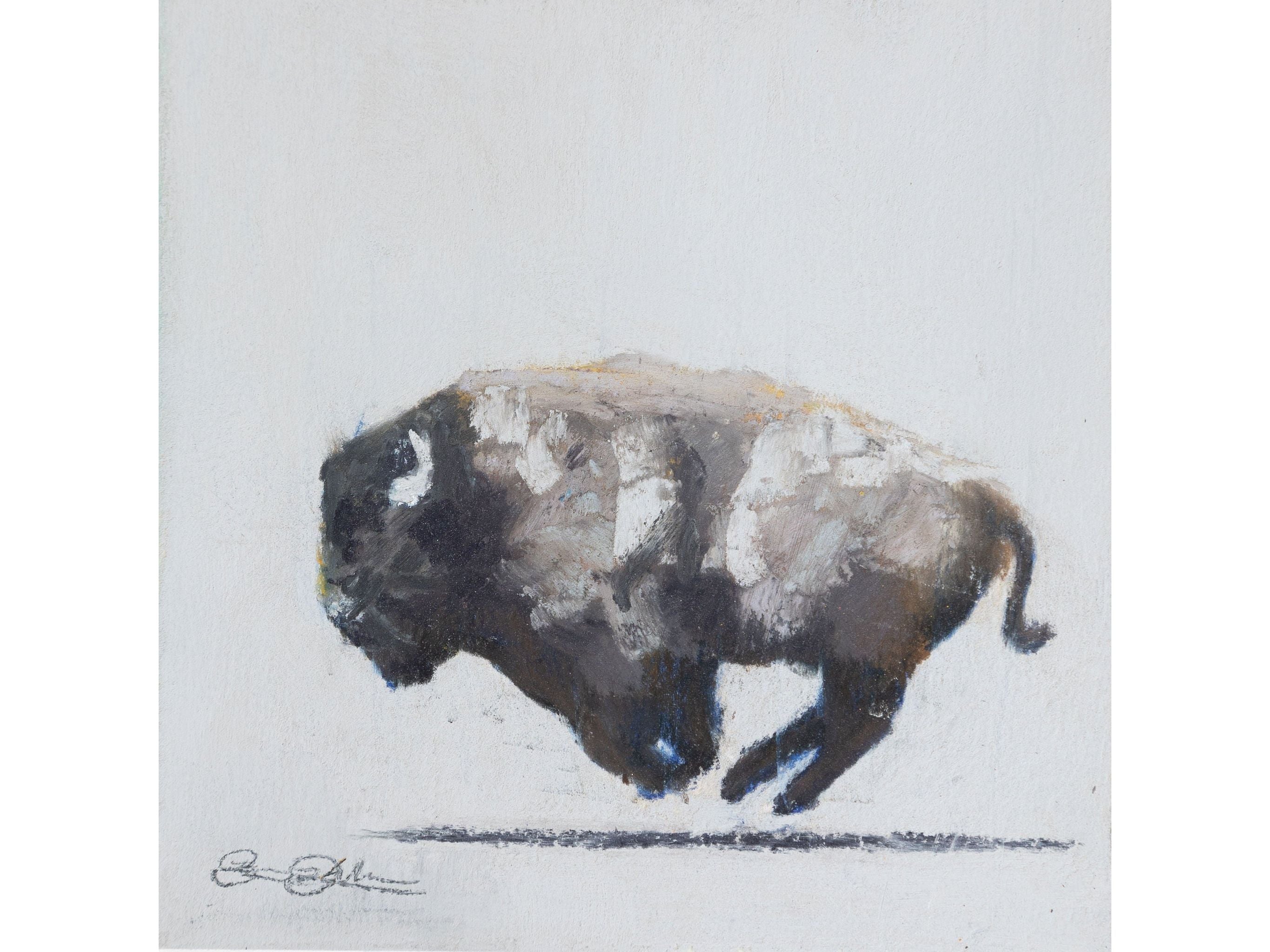 THE NORTH AMERICAN BISON (AMERICAN BISON) - Big Horn Bison Ranch